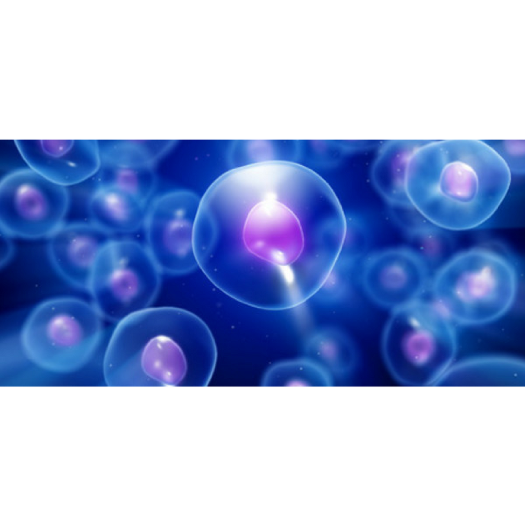 Healthy Cells - zineea